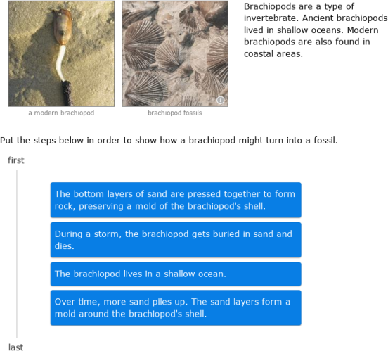 IXL - Introduction to fossils (Year 6 science practice)