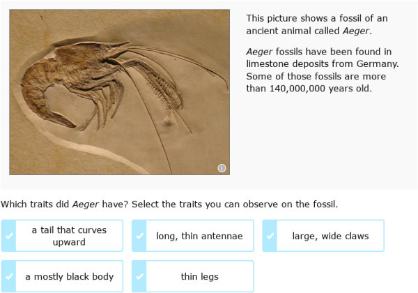 IXL - Compare fossils to modern organisms (Year 6 science practice)