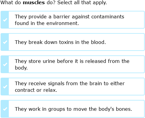 IXL - Human organs and their functions (Year 6 science practice)