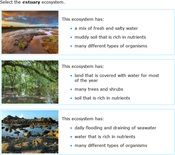 IXL - Identify ecosystems (Year 7 science practice)