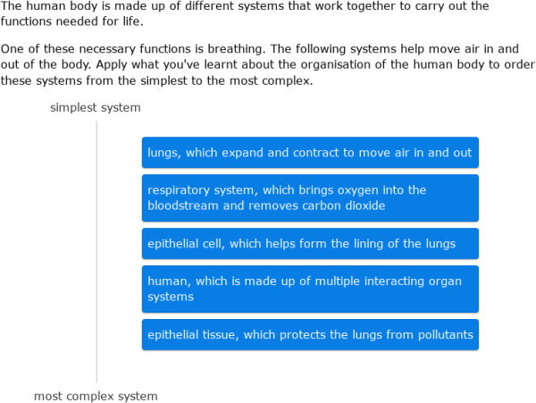 IXL - Organisation in the human body (Year 7 science practice)