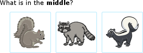 IXL - Left, middle and right (Year 1 maths practice)