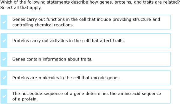 IXL - Genes, proteins and traits: understanding the genetic code (Year ...