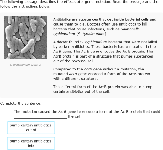 IXL - Describe the effects of gene mutations on organisms (Year 7 ...