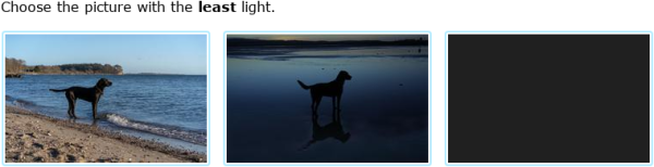 IXL - More light or less light (Year 3 science practice)