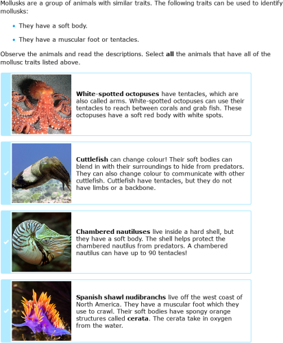 IXL - Use evidence to classify animals (Year 6 science practice)