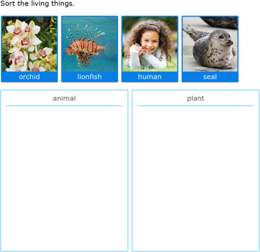 IXL - Identify plants and animals (Year 1 science practice)