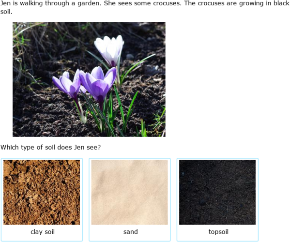 IXL - Types of soils (Year 3 science practice)