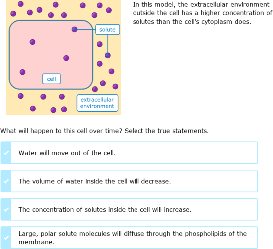 IXL - Osmosis (Year 11 science practice)