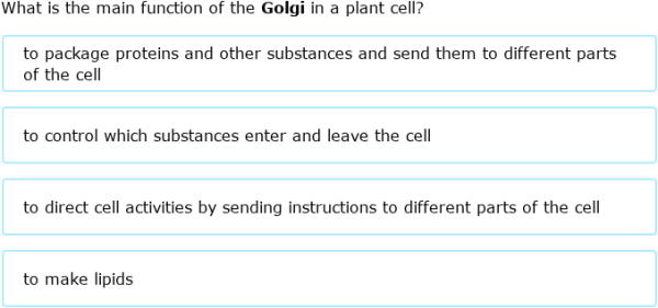 IXL - Identify functions of plant cell parts (Year 11 science practice)