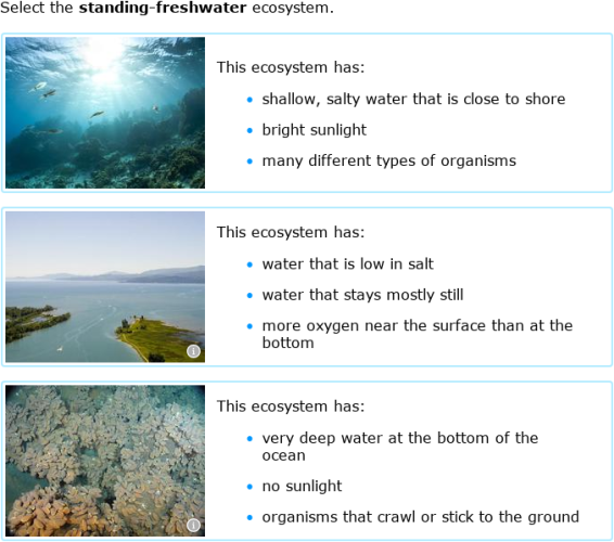 IXL - Identify ecosystems (Year 6 science practice)