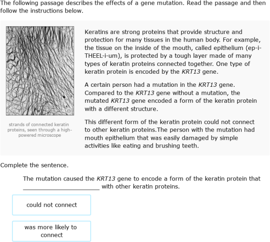 IXL - Describe the effects of gene mutations on organisms (Year 9 ...