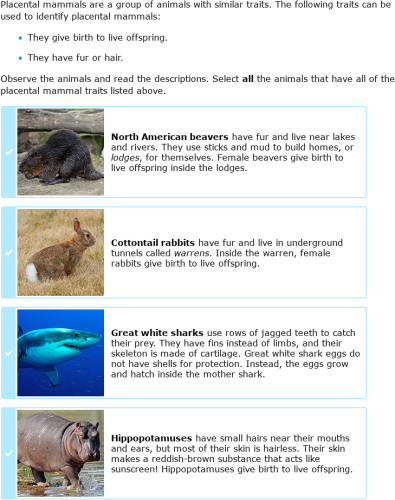 IXL - Use evidence to classify animals (Year 5 science practice)