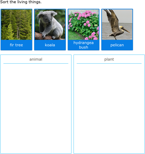 IXL - Identify plants and animals (Year 2 science practice)