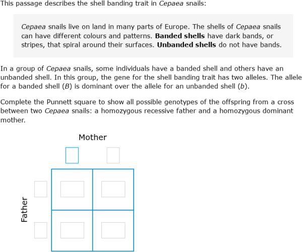 IXL - Punnett squares: Mendelian inheritance (Year 11 science practice)