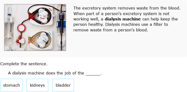 IXL - Body systems: removing waste (Year 6 science practice)