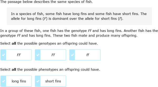 IXL - Genetic variation in sexual reproduction (Year 8 science practice)