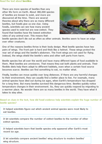 IXL - Read about animals (Year 6 English practice)