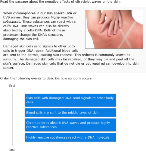IXL - Effects of ultraviolet waves (Year 7 science practice)
