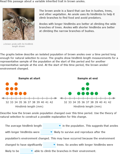 IXL - Construct explanations of natural selection (Year 10 science ...