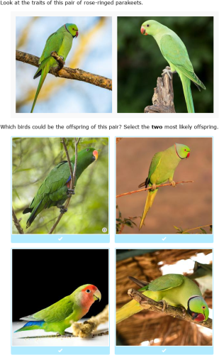 IXL - Match offspring to parents using inherited traits (Year 4 science ...