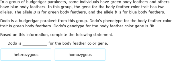 IXL - Genetics vocabulary: genotype and phenotype (Year 7 science practice)