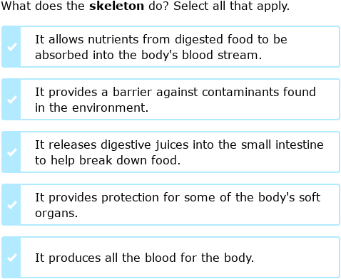 IXL - Human organs and their functions (Year 6 science practice)