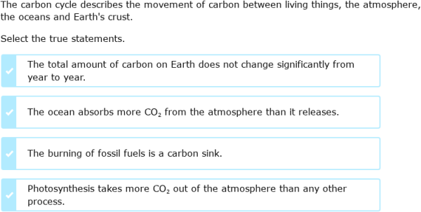 IXL - The carbon cycle (Year 7 science practice)