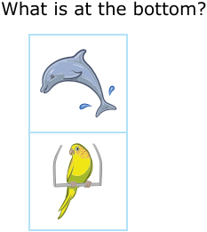 IXL - Top and bottom (Reception maths practice)