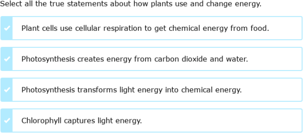 IXL - How do plants use and change energy? (Year 9 science practice)