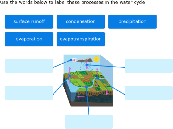 IXL - Label parts of water cycle diagrams (Year 7 science practice)