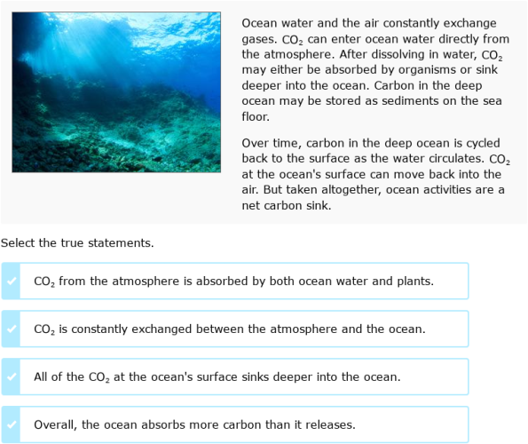 IXL - The carbon cycle (Year 8 science practice)