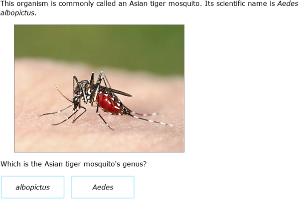 IXL - Identify common and scientific names (Year 9 science practice)