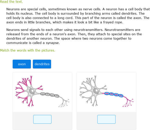 IXL Determine The Meaning Of Domain specific Words With Pictures ixl-determine-the-meaning-of-domain-specific-words-with-pictures