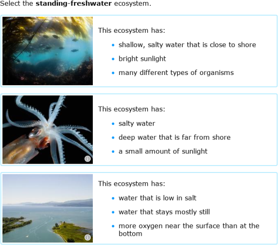 IXL - Identify ecosystems (Year 8 science practice)