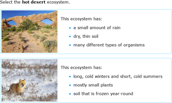 IXL - Identify ecosystems (Year 5 science practice)