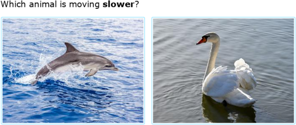 IXL - Fast and slow (Year 2 science practice)