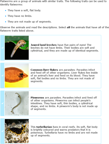 IXL - Use evidence to classify animals (Year 6 science practice)