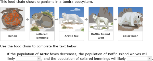 IXL - Use food chains to predict changes in populations (Year 8 science ...