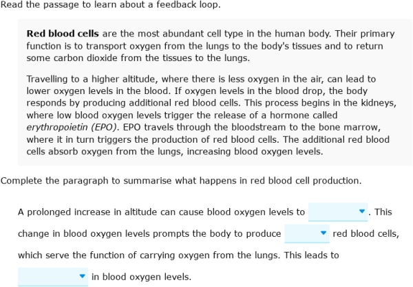 IXL - Homeostasis and feedback loops (Year 10 science practice)