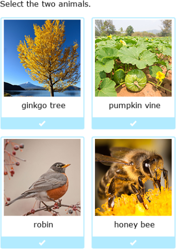 IXL - Identify plants and animals (Year 3 science practice)
