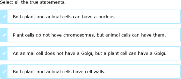 IXL - Compare cells and cell parts (Year 9 science practice)