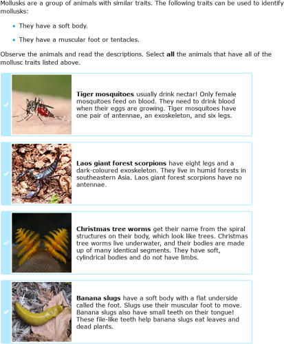 IXL - Use evidence to classify animals (Year 5 science practice)