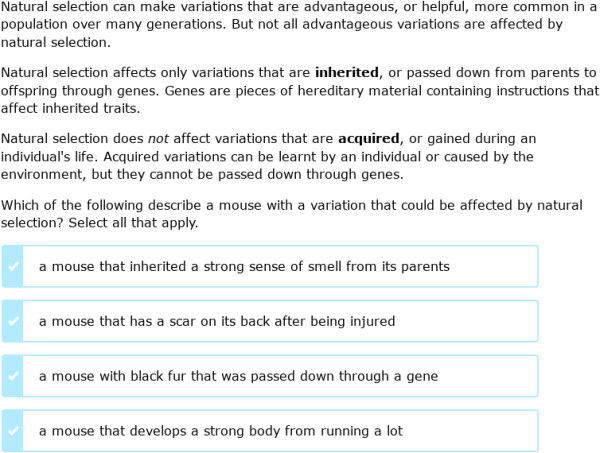 IXL - Introduction to natural selection (Year 9 science practice)