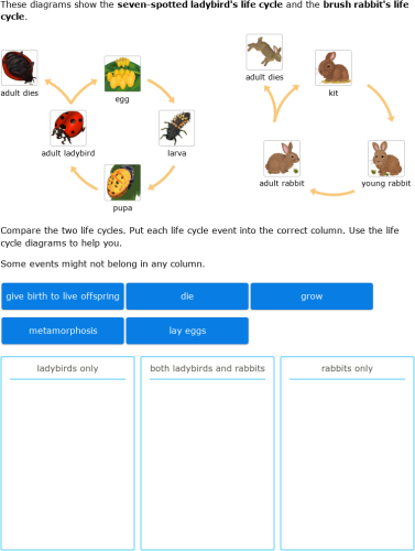 IXL - Compare different animals' life cycles (Year 4 science practice)