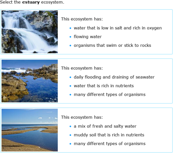 IXL - Identify ecosystems (Year 9 science practice)