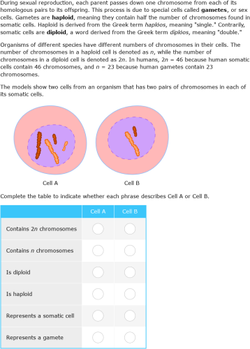 IXL - Sexual reproduction and genetic variation: part I (Year 10 ...