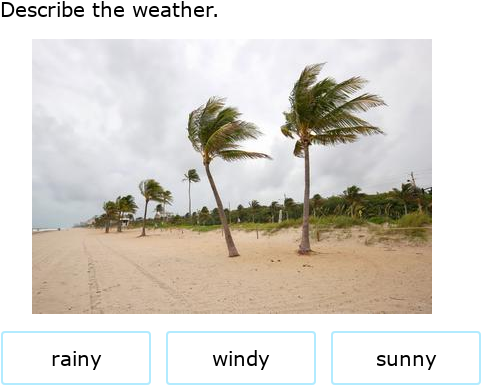 IXL - Describe the weather (Year 1 science practice)