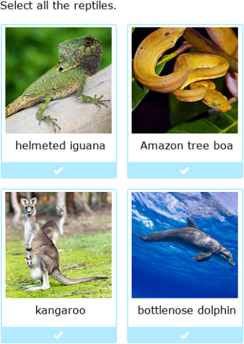 IXL - Identify mammals, birds, fish, reptiles and amphibians (Year 6 ...