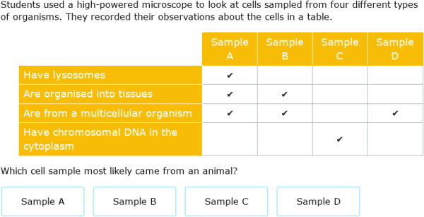 IXL - Compare cell types by their structures (Year 11 science practice)